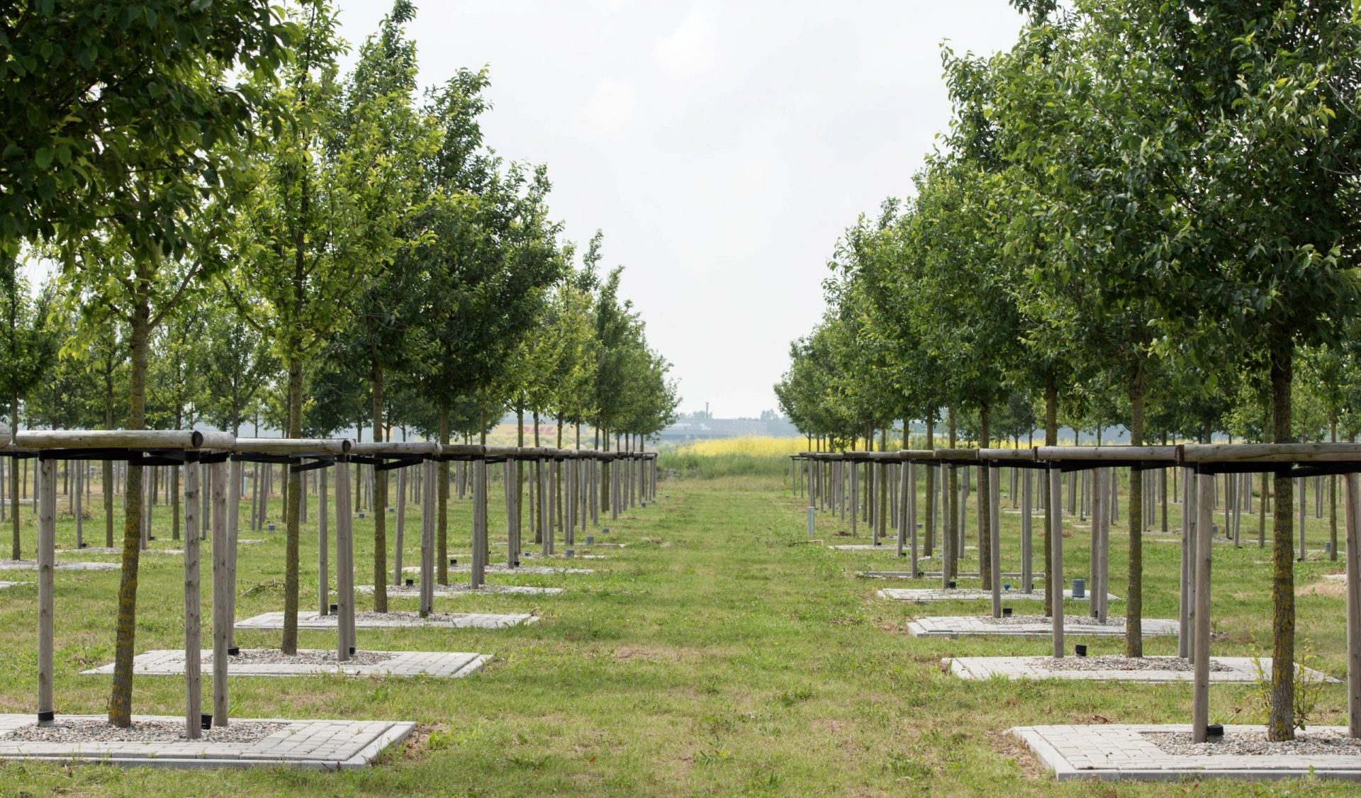 Substraatproef bomengranulaat Amsterdam - BVB Landscaping