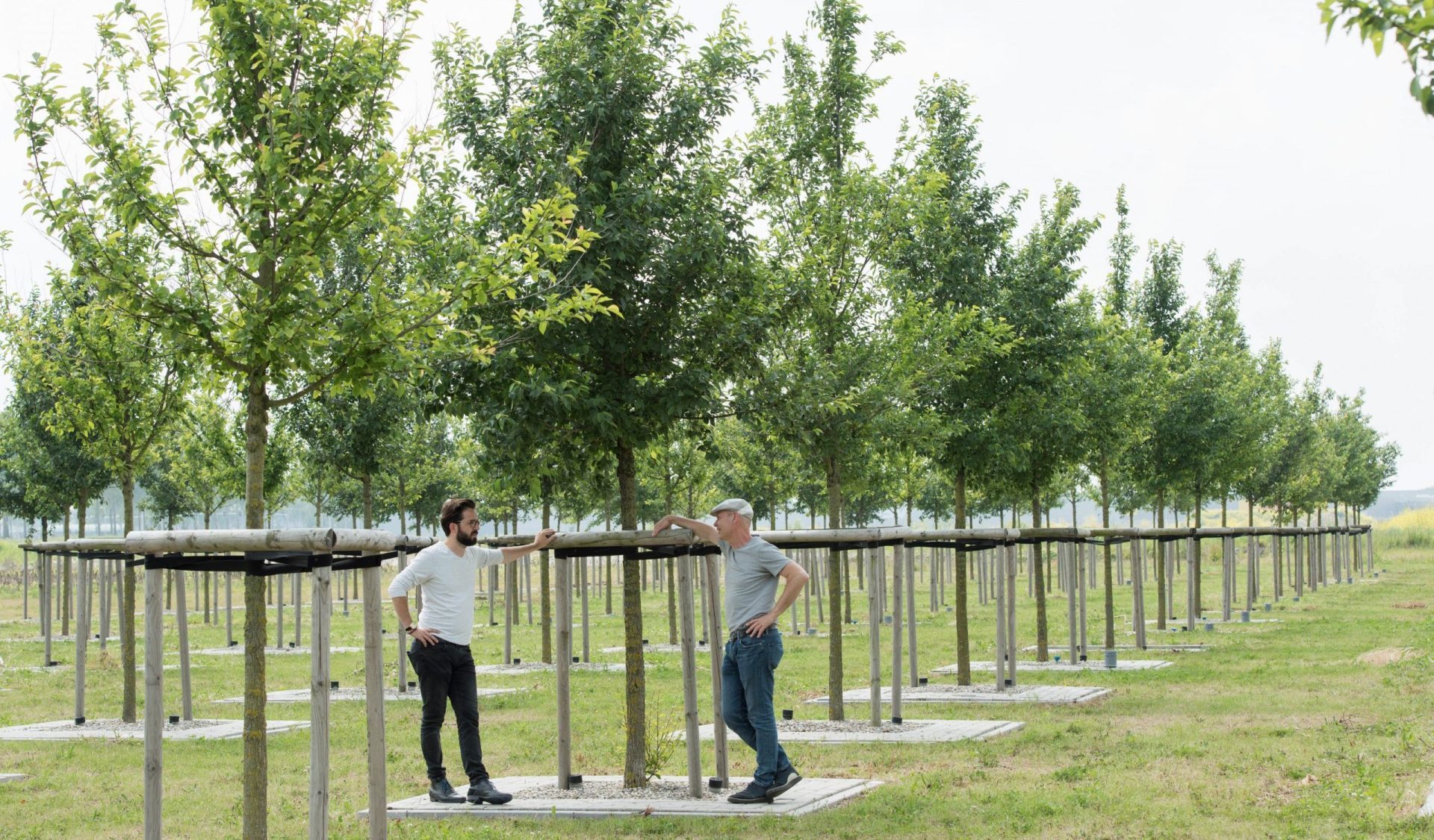 Substraatproef bomengranulaat Amsterdam - BVB Landscaping