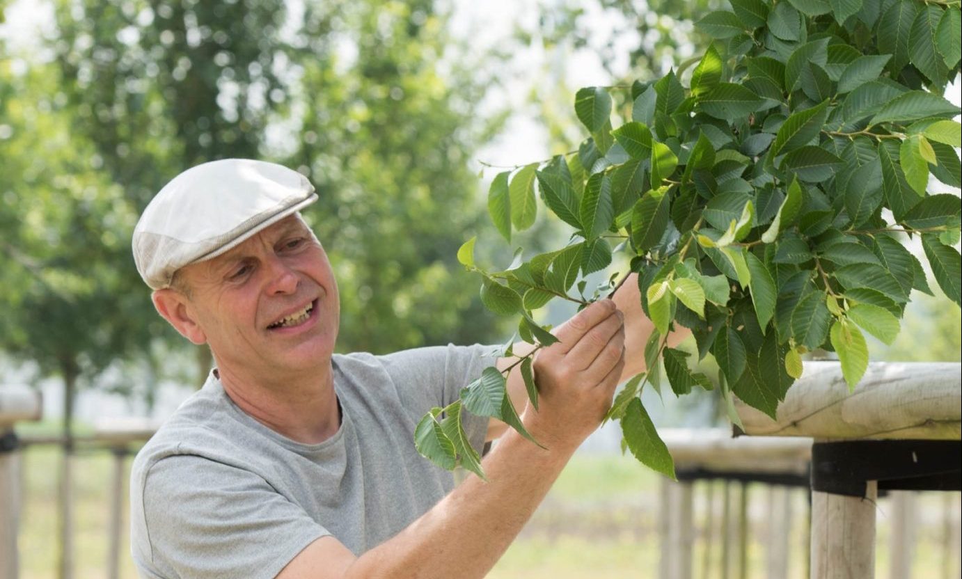 Substraatproef bomengranulaat Amsterdam - BVB Landscaping