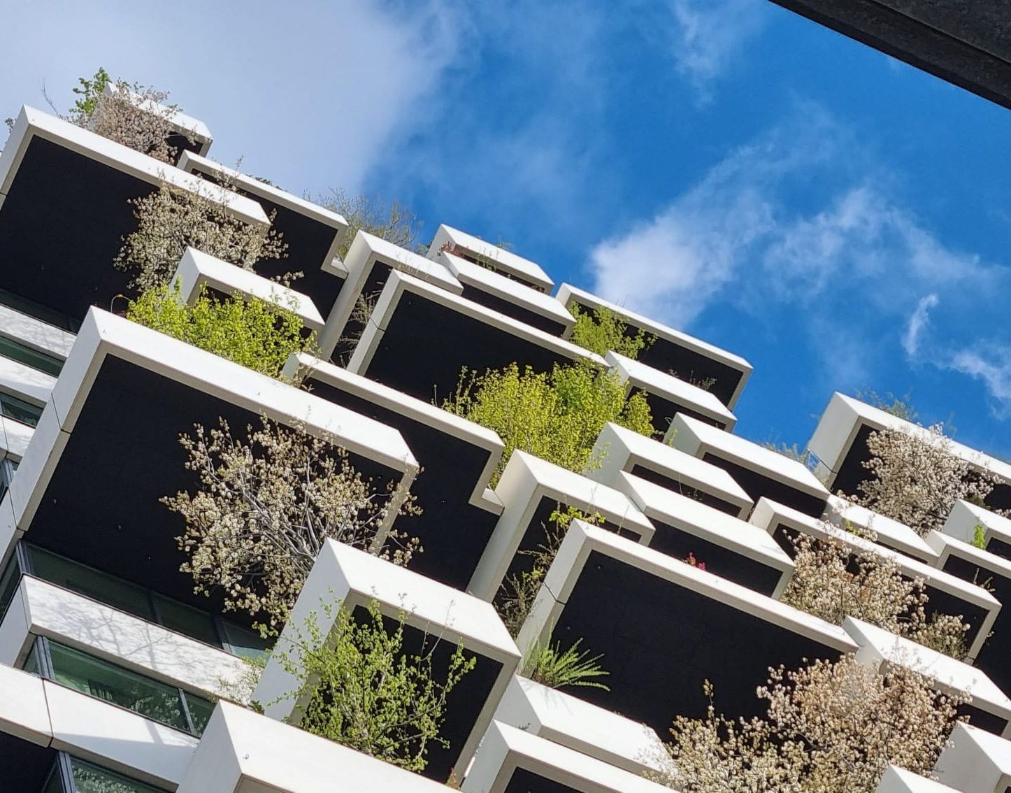 Trudo toren 'verticaal bos' Eindhoven - BVB Landscaping