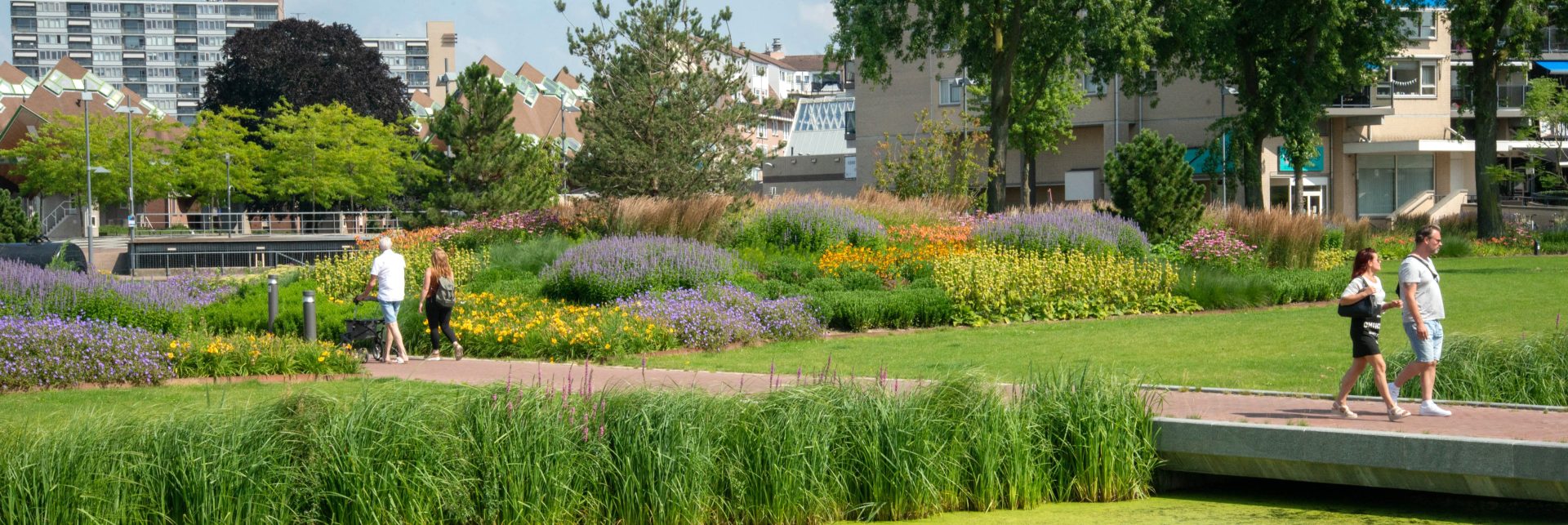 Klimaatadaptief stadspark Helmond - BVB Landscaping