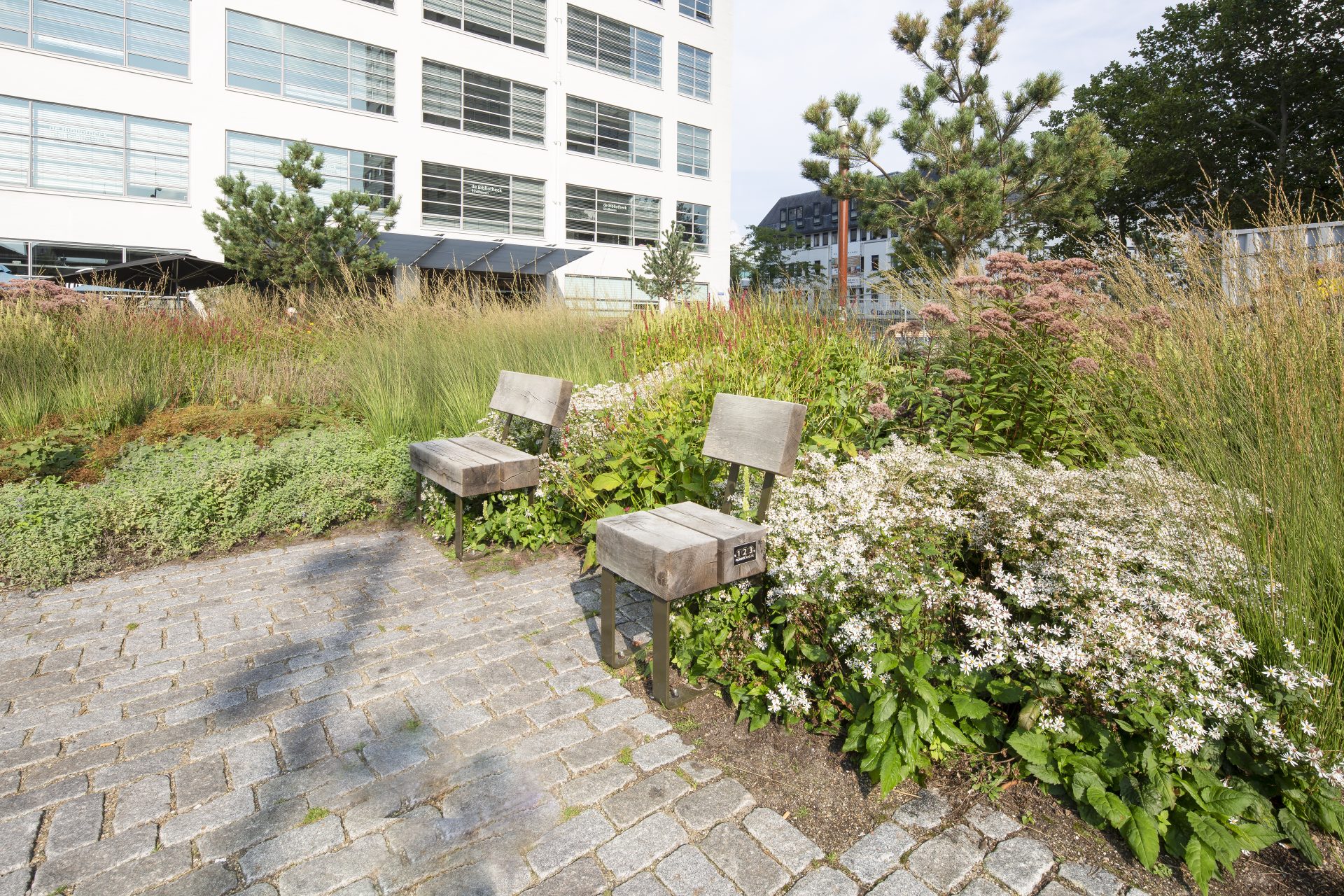 Retentiedaktuin Clausplein Eindhoven - BVB Landscaping