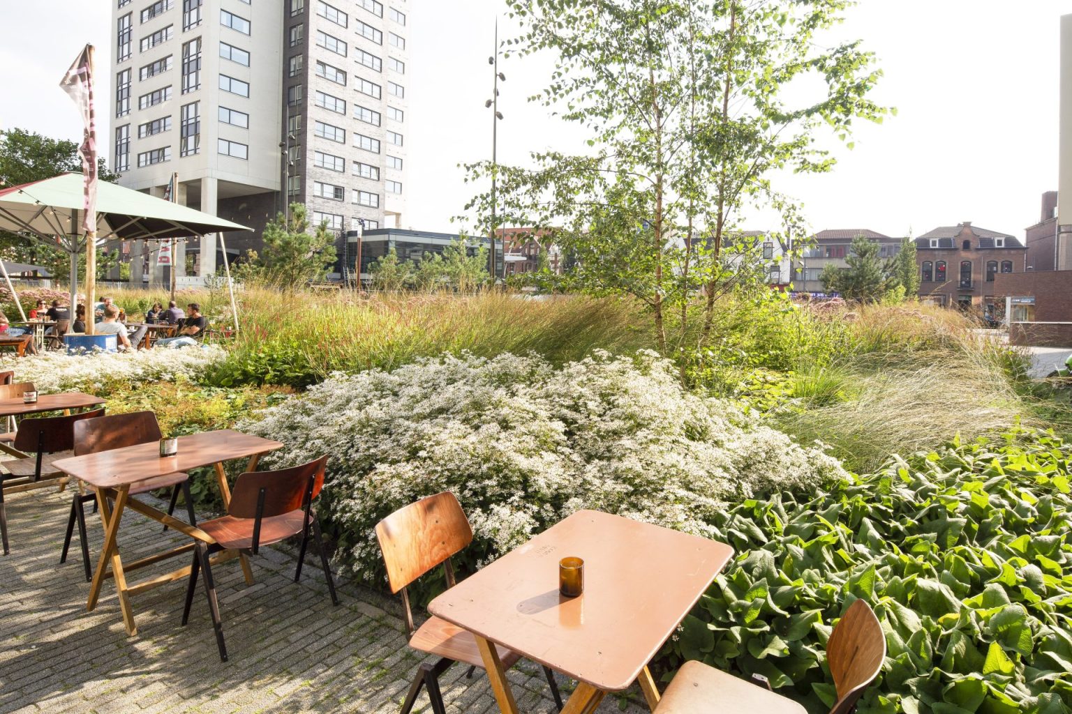 Retentiedaktuin Clausplein Eindhoven - BVB Landscaping