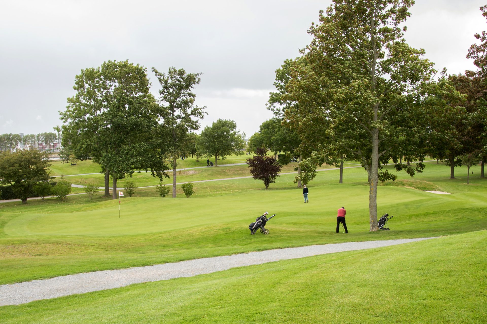 Golfbaan renovatie Kleiburg Brielle - BVB Landscaping