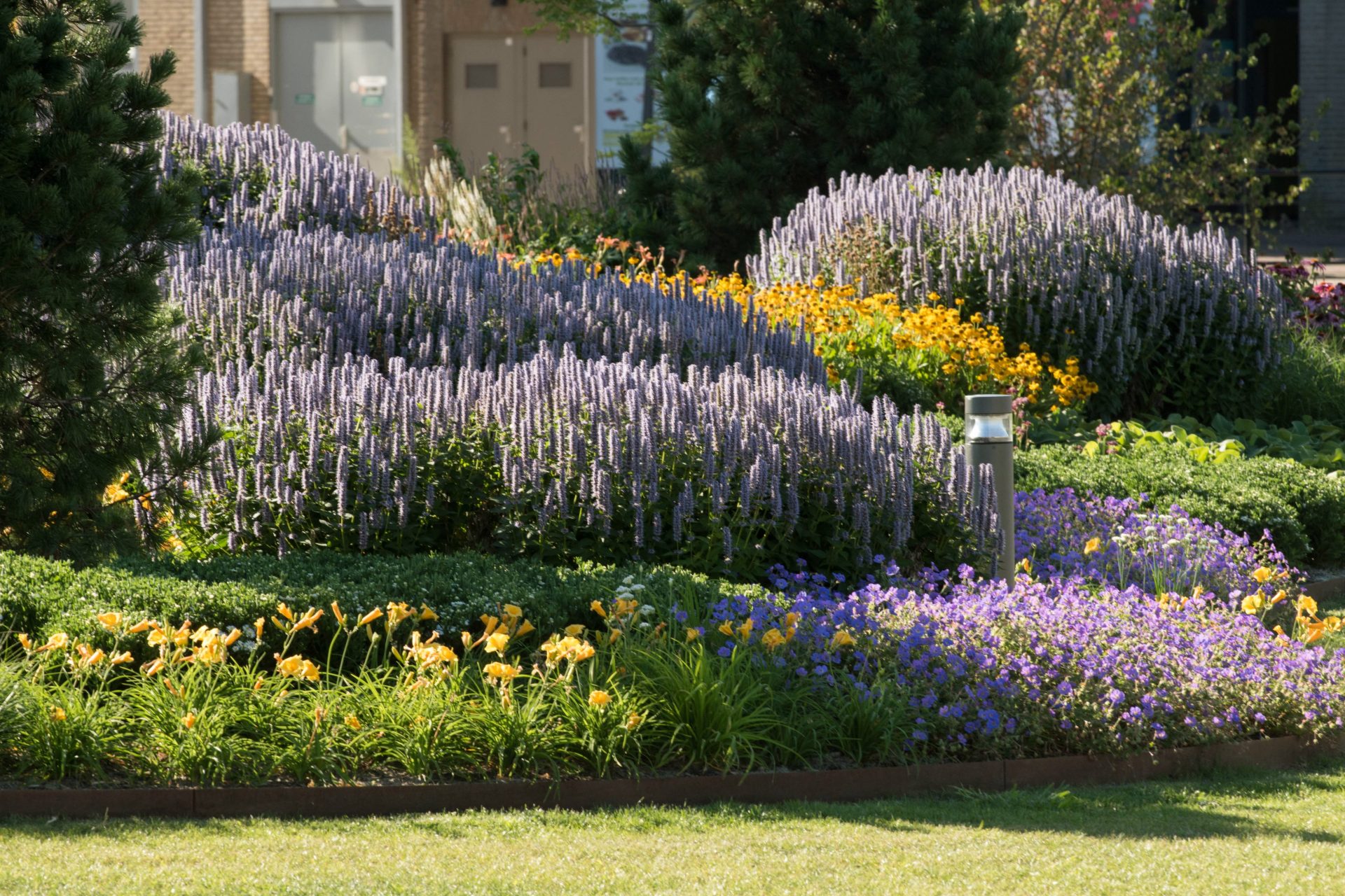 BVB Landscaping - Groeiplaatsen open grond