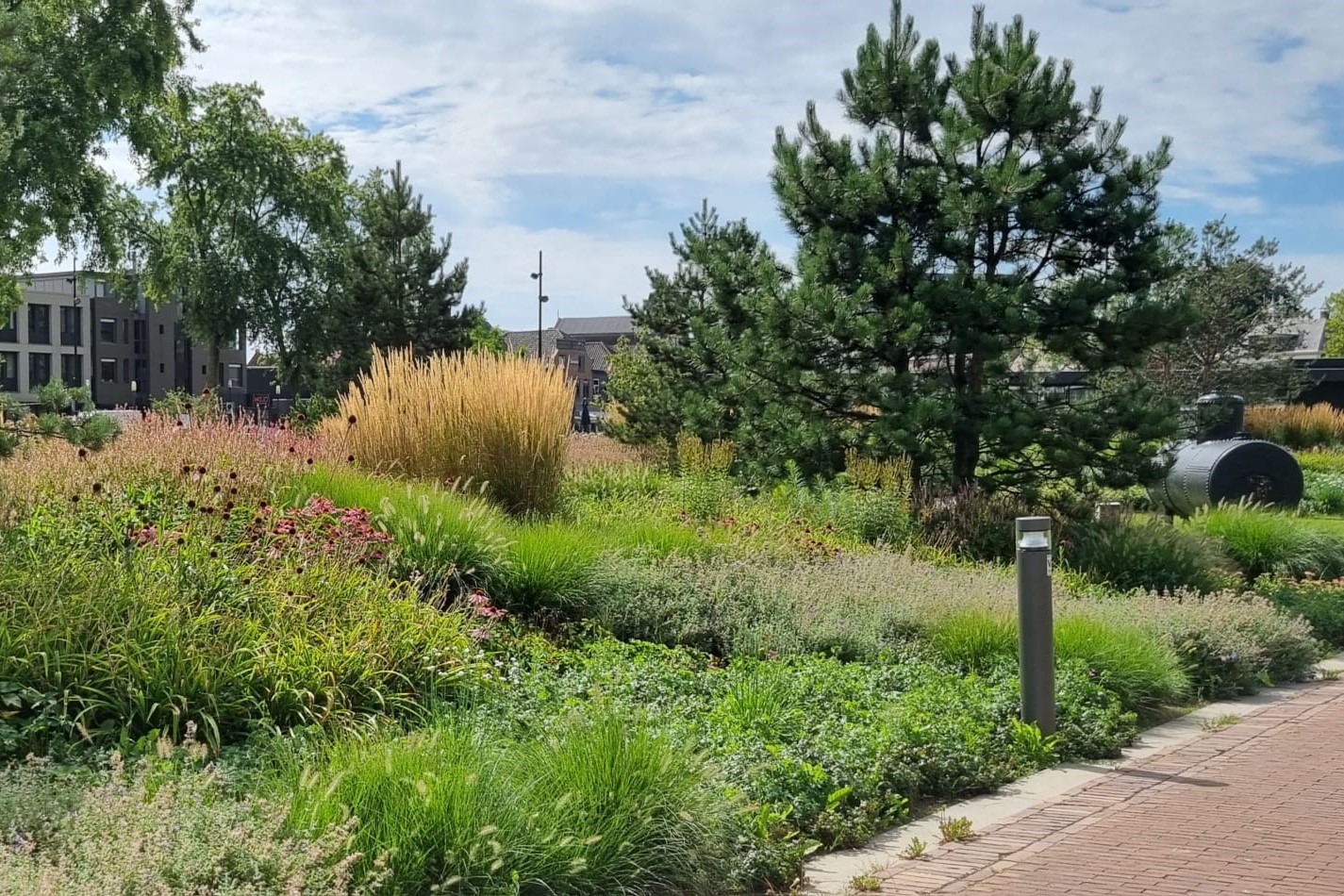 BVB Landscaping - Groeiplaatsen open grond