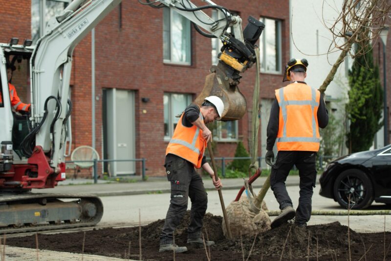 BVB Landscaping - Groeiplaatsen open grond