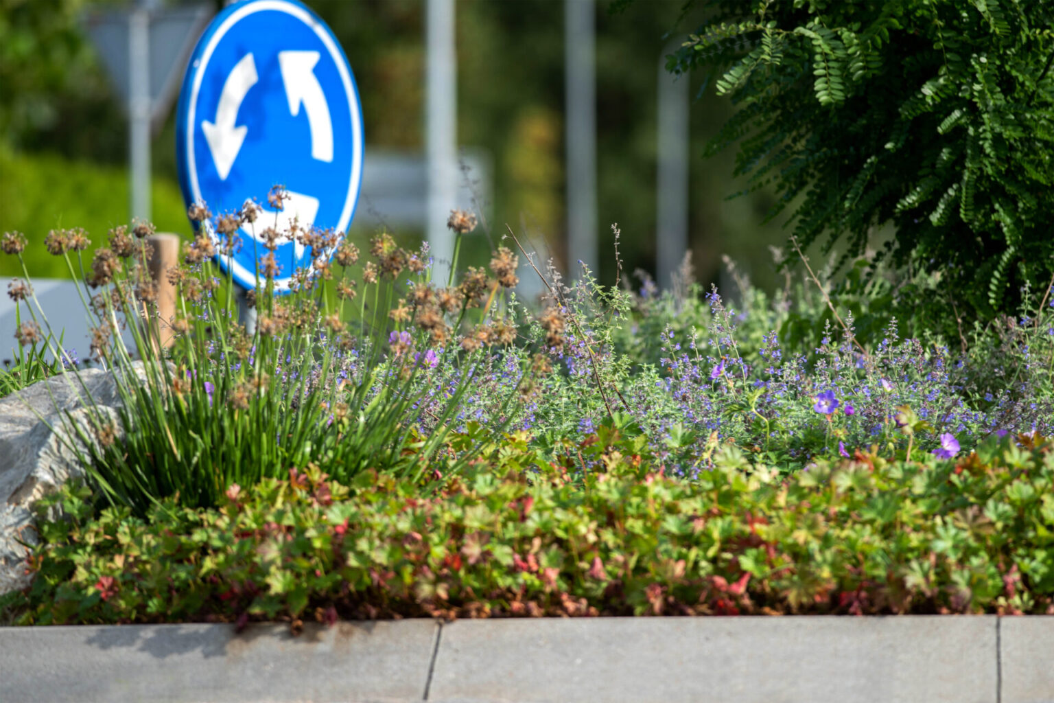 BVB Landscaping - Partners