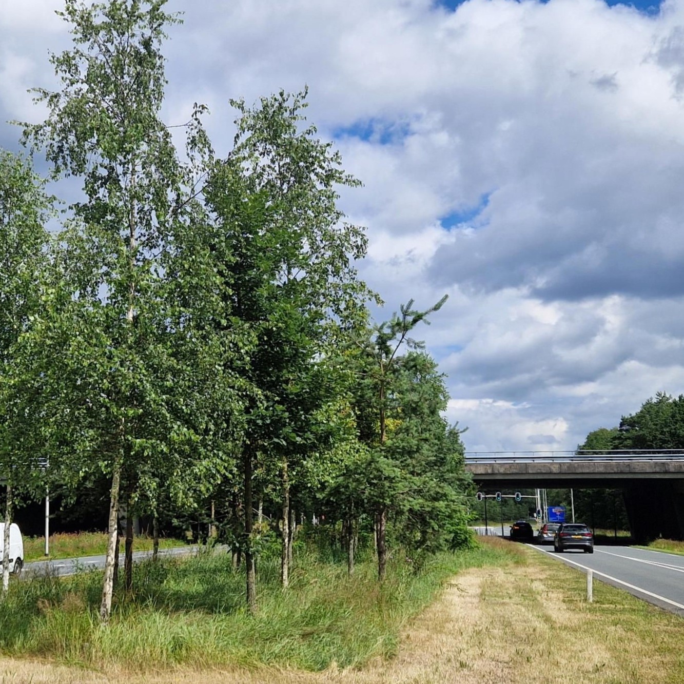 Opwaarderen bermbodem Apeldoorn - BVB Landscaping