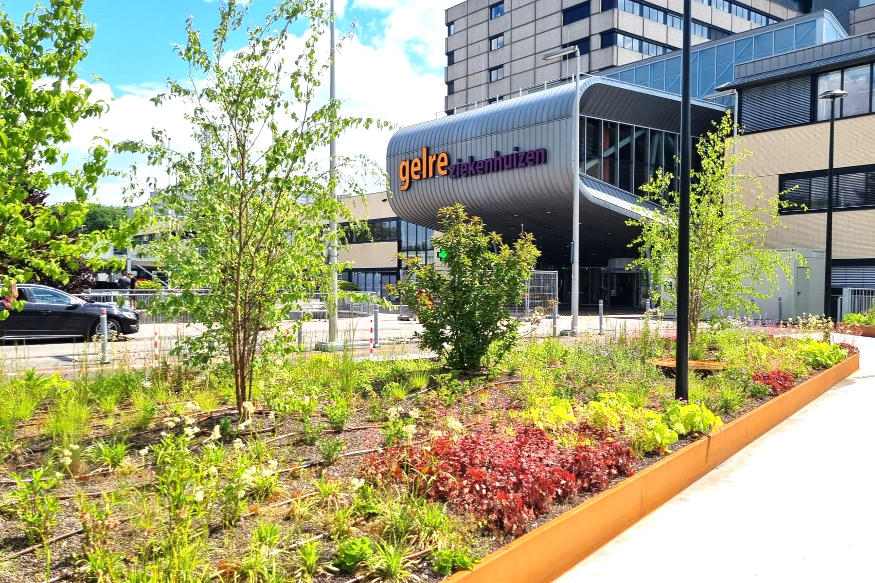 Daktuinsubstraat Gelre Ziekenhuis Apeldoorn - BVB Landscaping