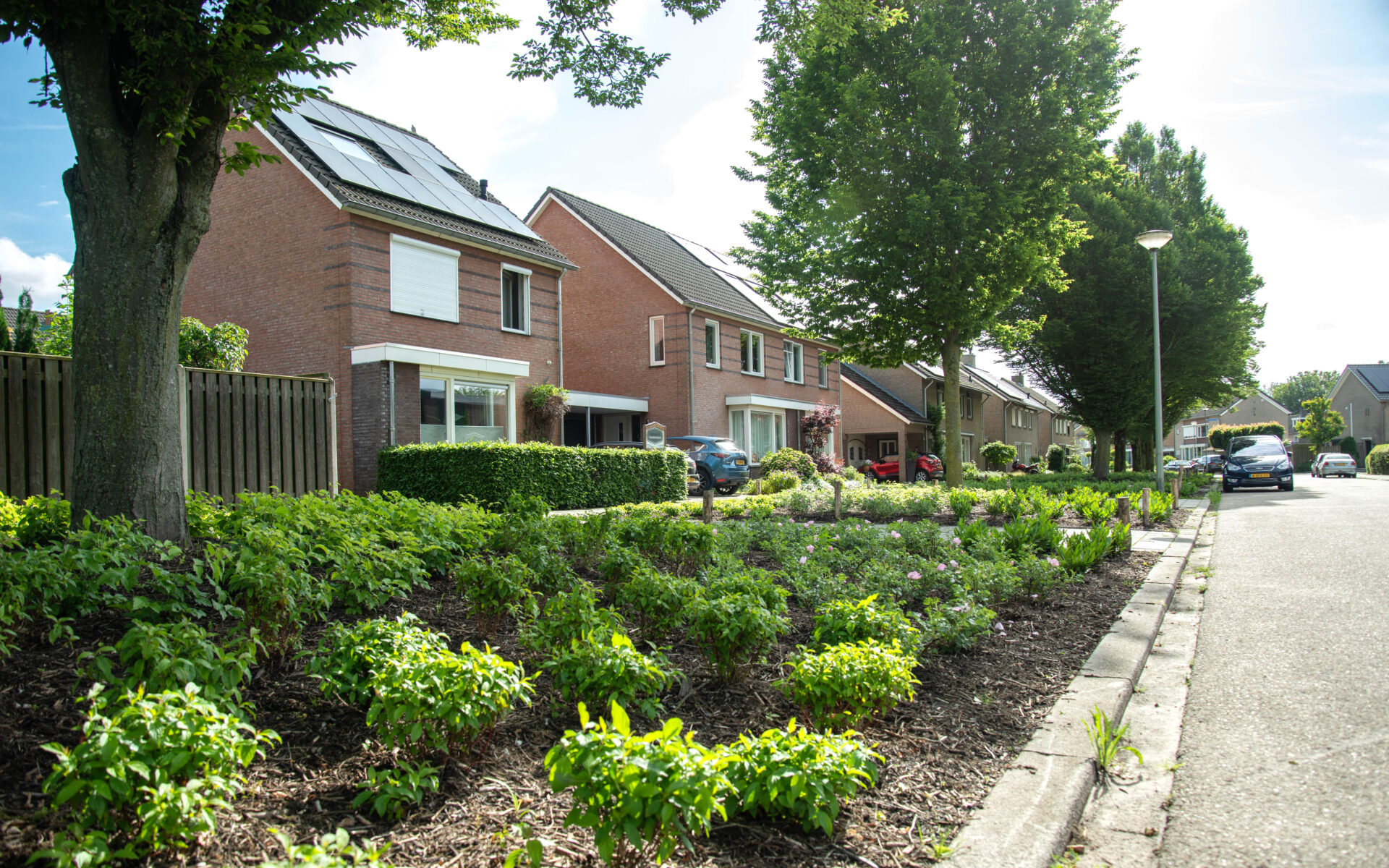 Bodemverbetering plantvakken en bomen Sevenum - BVB Landscaping