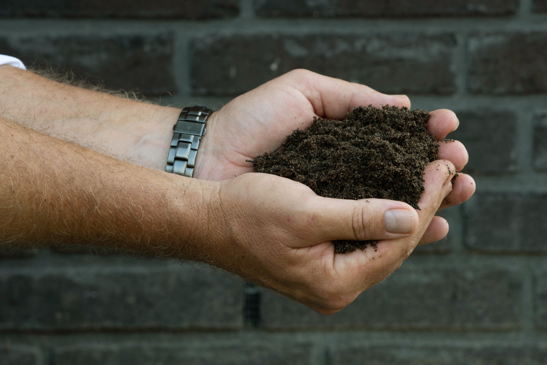 RENEW veenvrije substraten - BVB Landscaping