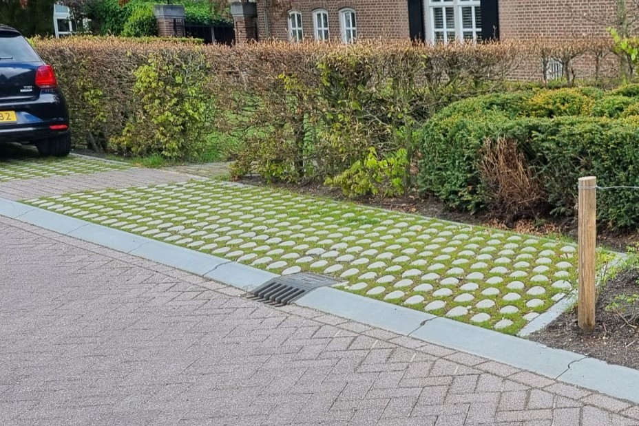 RA Positive Blue - BVB Landscaping