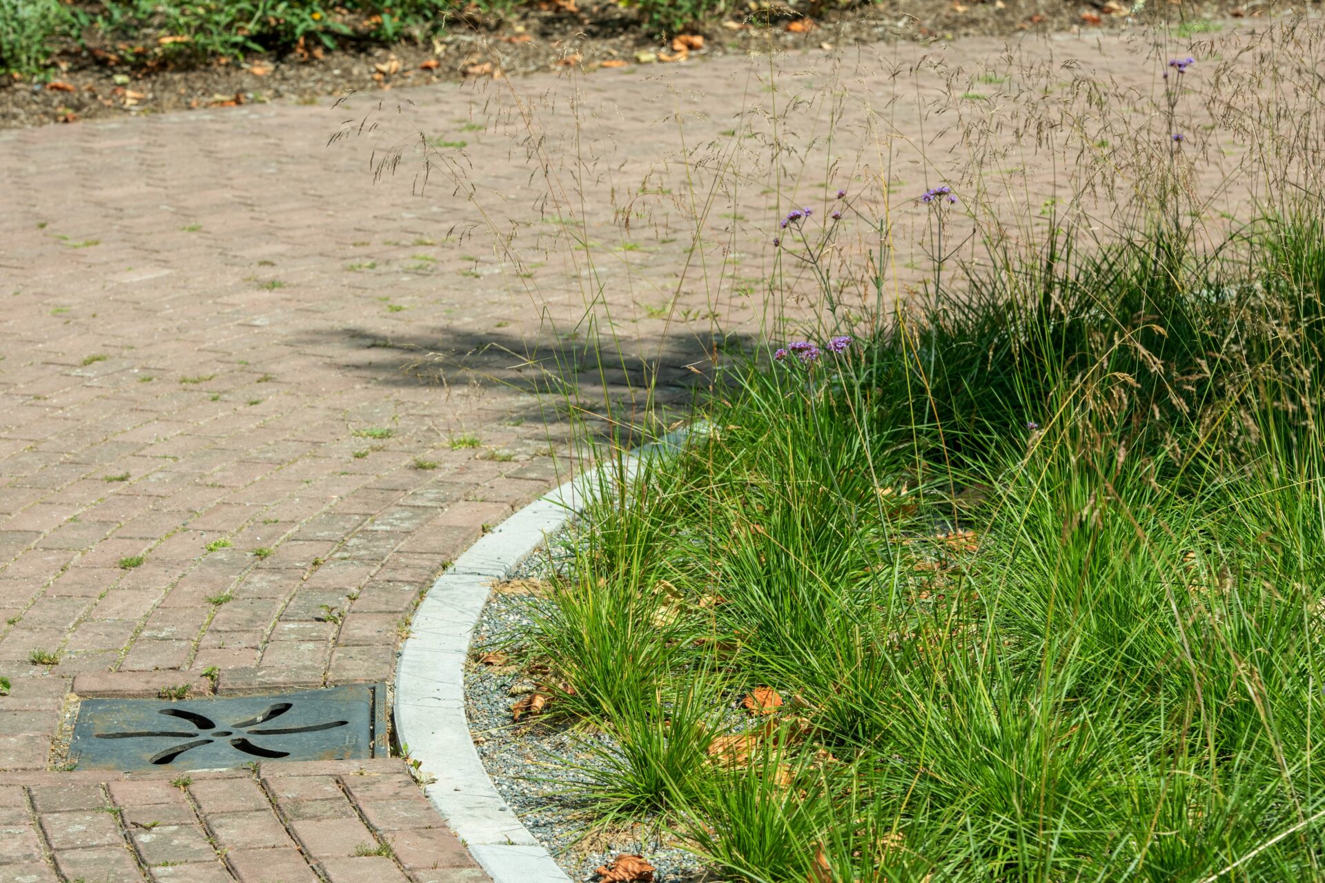 Regenwaterinfiltratie Citykross Horst - BVB Landscaping