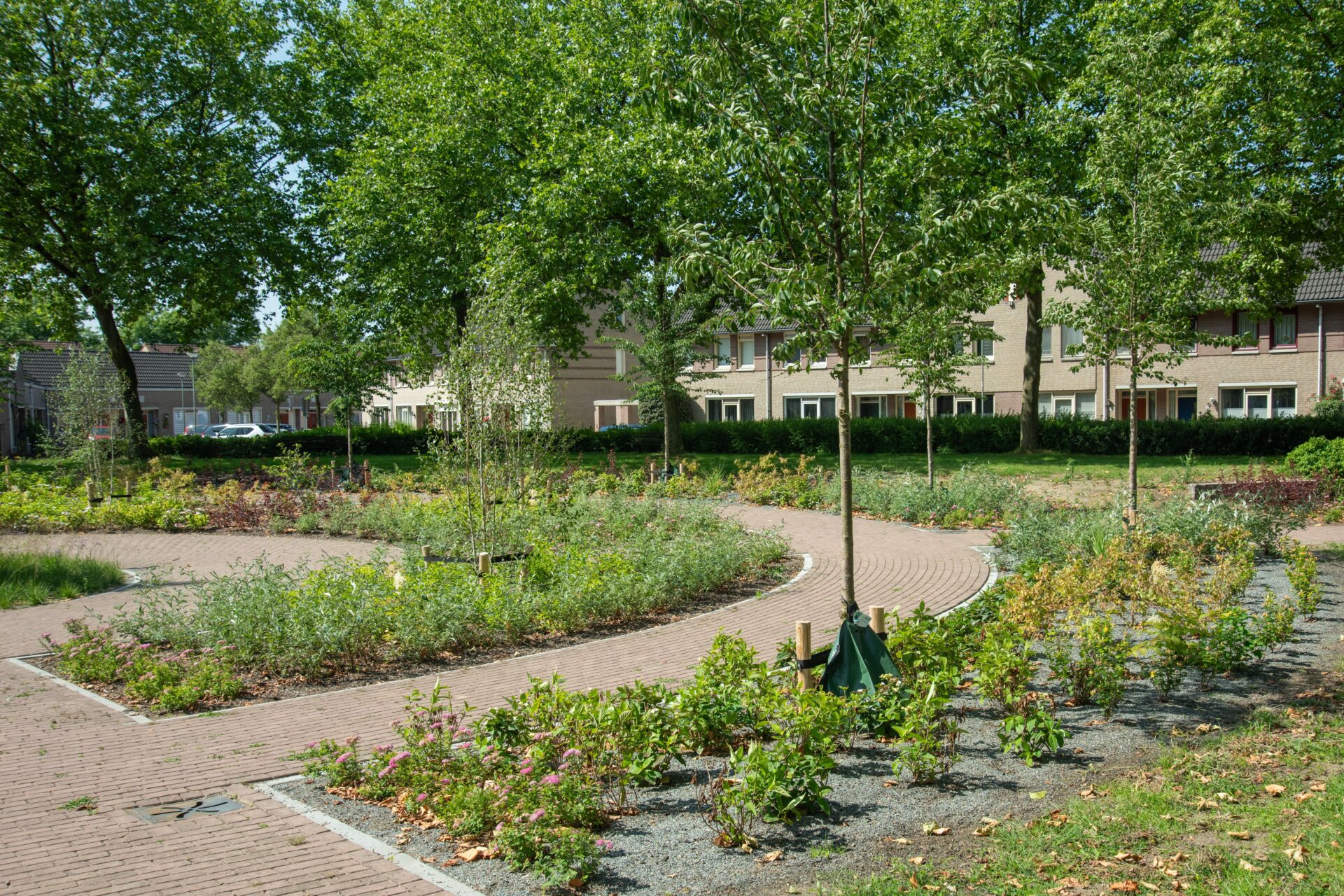 Regenwaterinfiltratie Citykross Horst - BVB Landscaping