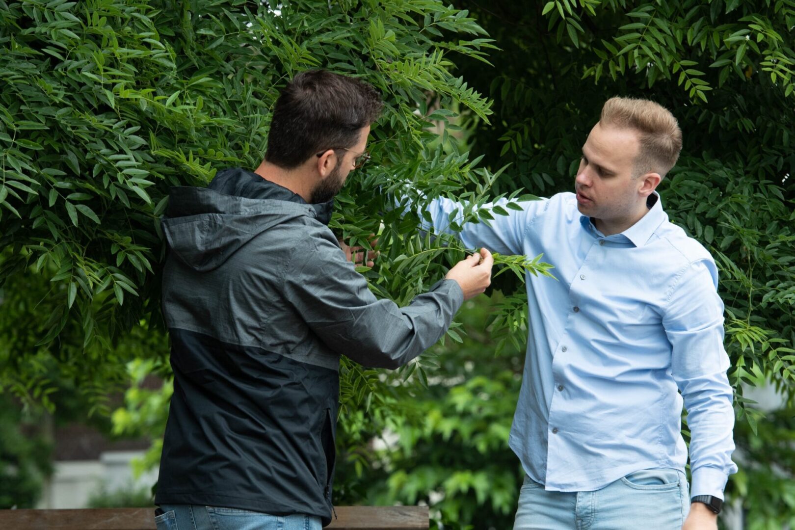 Over BVB Landscaping - Substraten voor de openbare ruimte